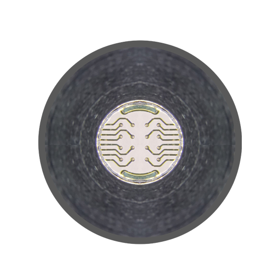 SpheroGuide MEA Plate | Axion Biosystems