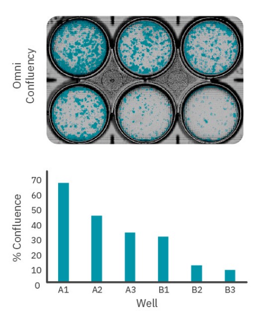 Automated real-time monitoring of stem cell cultures | Axion Biosystems