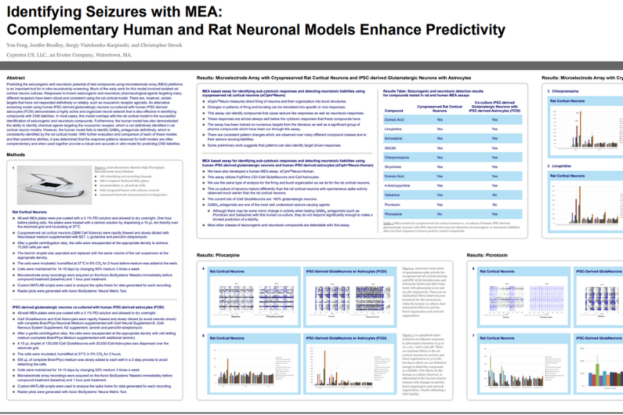 Identifying Seizures with MEA: Complementary Human and Rat Neuronal ...