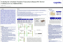 Evaluating the arrhythmic potential of Vanoxerine in human iPSC derived ...