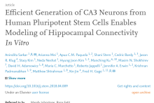 Efficient generation of CA3 neurons from human pluripotent stem cells ...