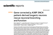 Gene‑corrected p.A30P SNCA patient‑derived isogenic neurons rescue ...
