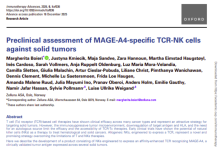 Preclinical assessment of MAGE-A4-specific TCR-NK cells against solid ...